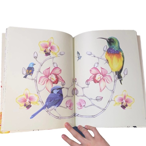 Daisy Fletcher | Office | Daisy Fletcher Birdtopia Coloring Book 9x2in ...